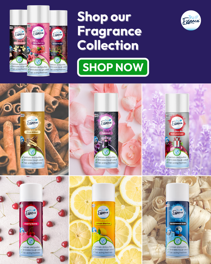 DSL Group | Affordable Home and Lifestyle Solutions