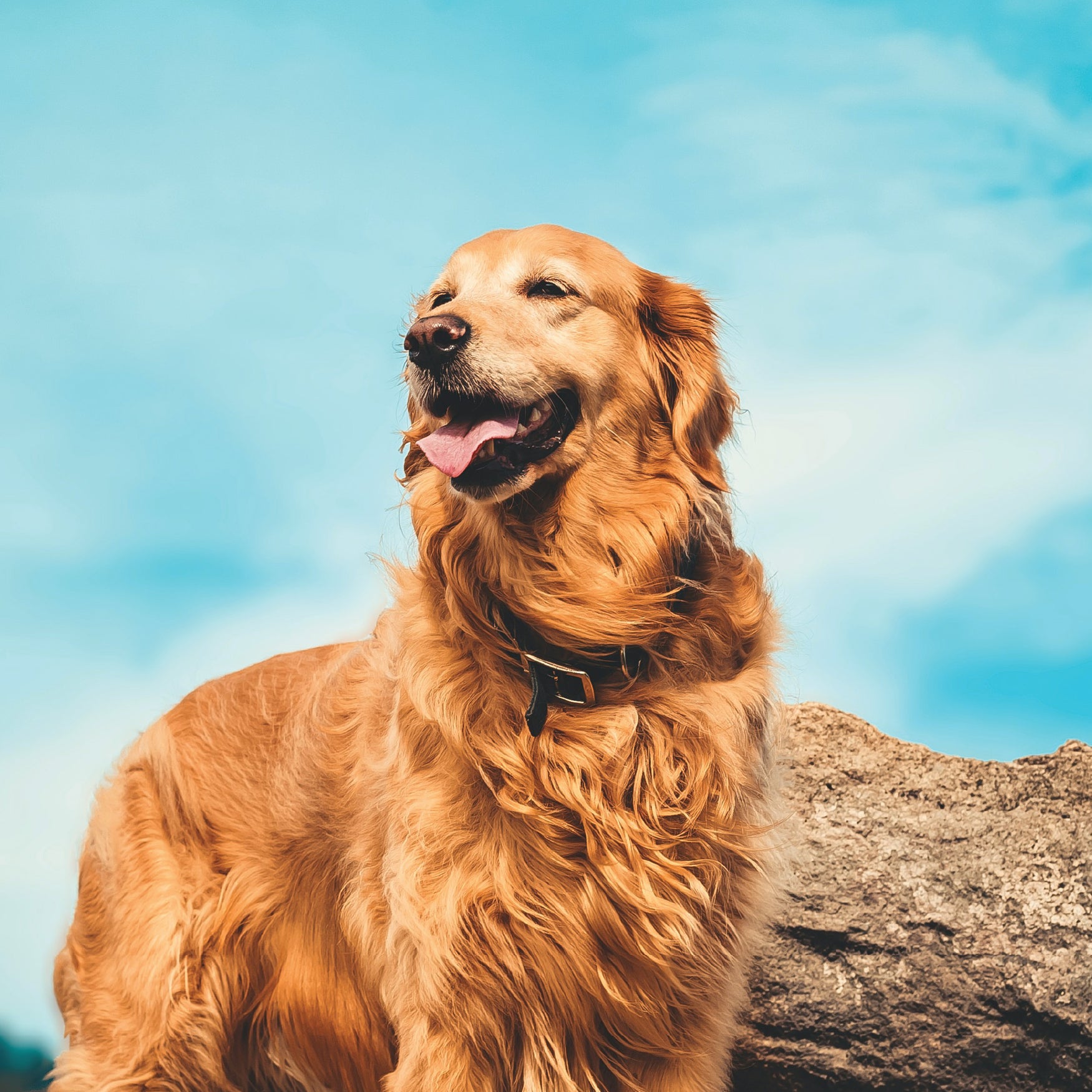 DSL Group | Affordable Home and Lifestyle Solutions